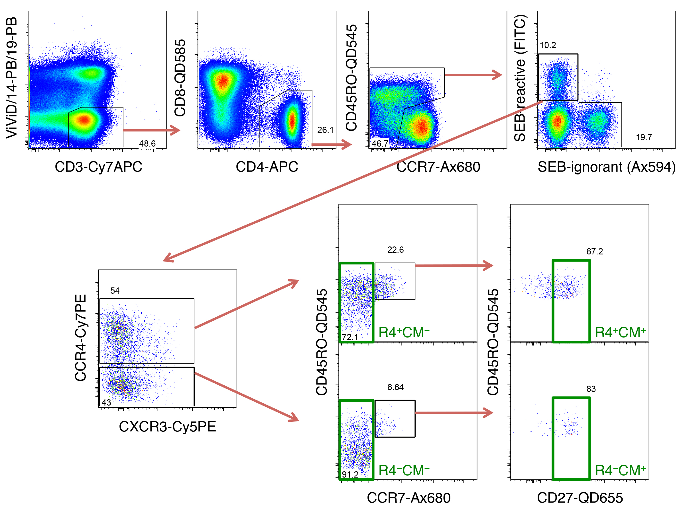 Reconstitution of Peripheral T Cells by Tissue-Derived CCR4+ Central ...