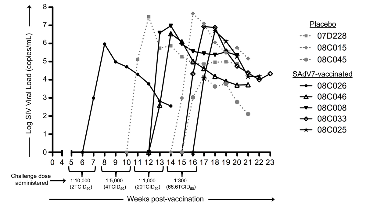 Susceptibility to SIV Infection After Adenoviral Vaccination in a Low ...