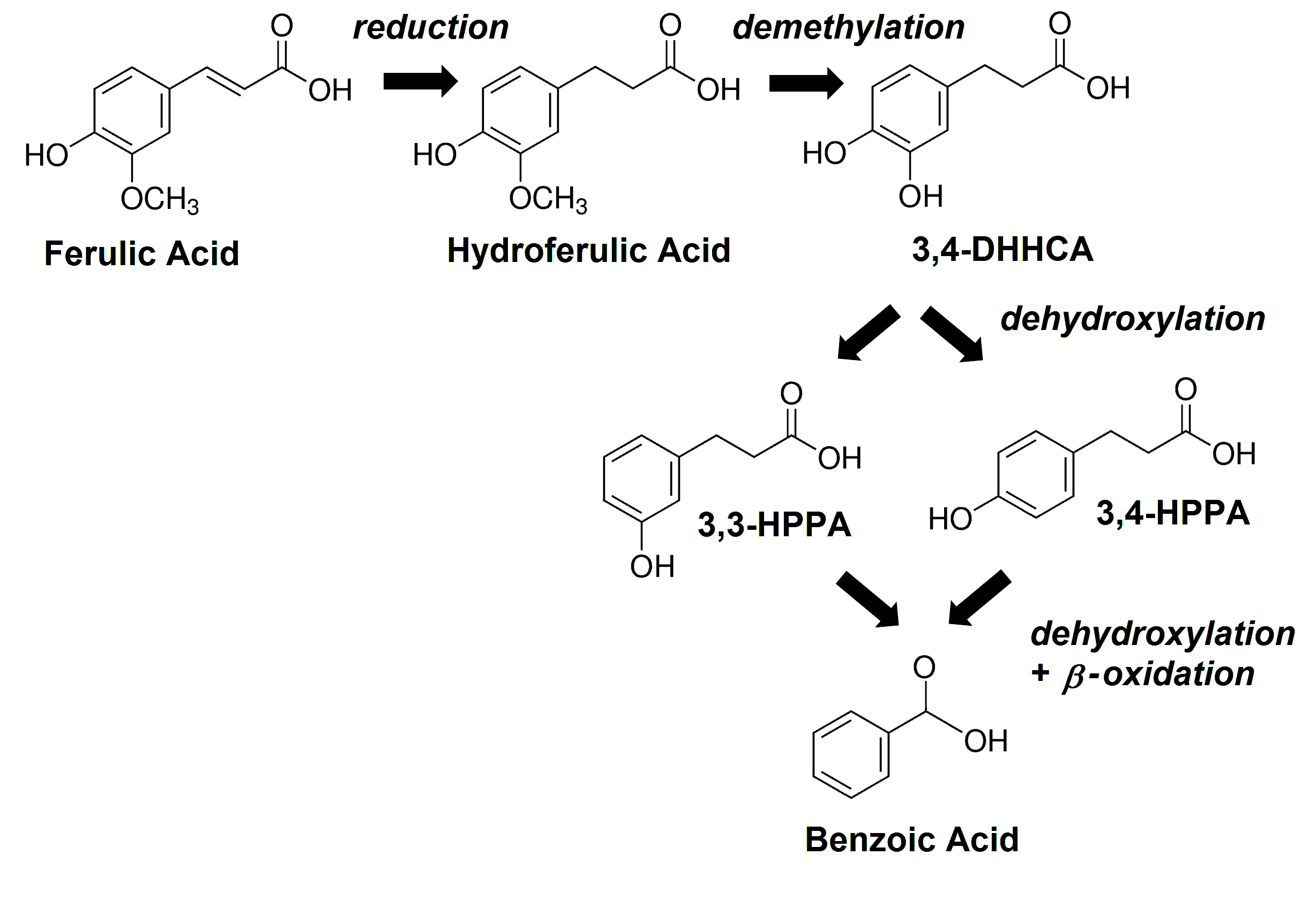dentification and Quantification by Targeted Metabolomics of Antibiotic ...