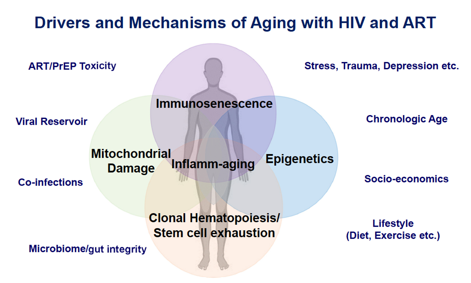 Pathogenesis of Aging and Age-related Comorbidities in People with HIV ...