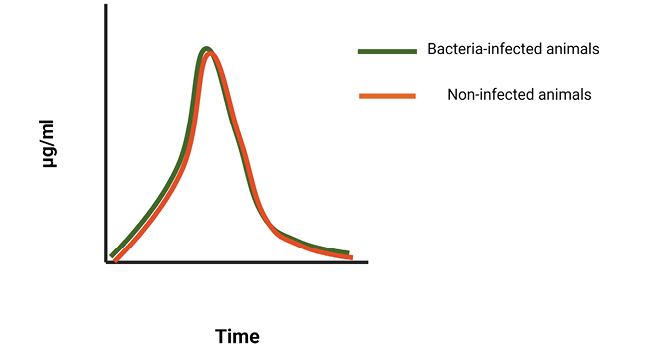 Therapeutic Bacteriophages for Gram-Negative Bacterial Infections in ...